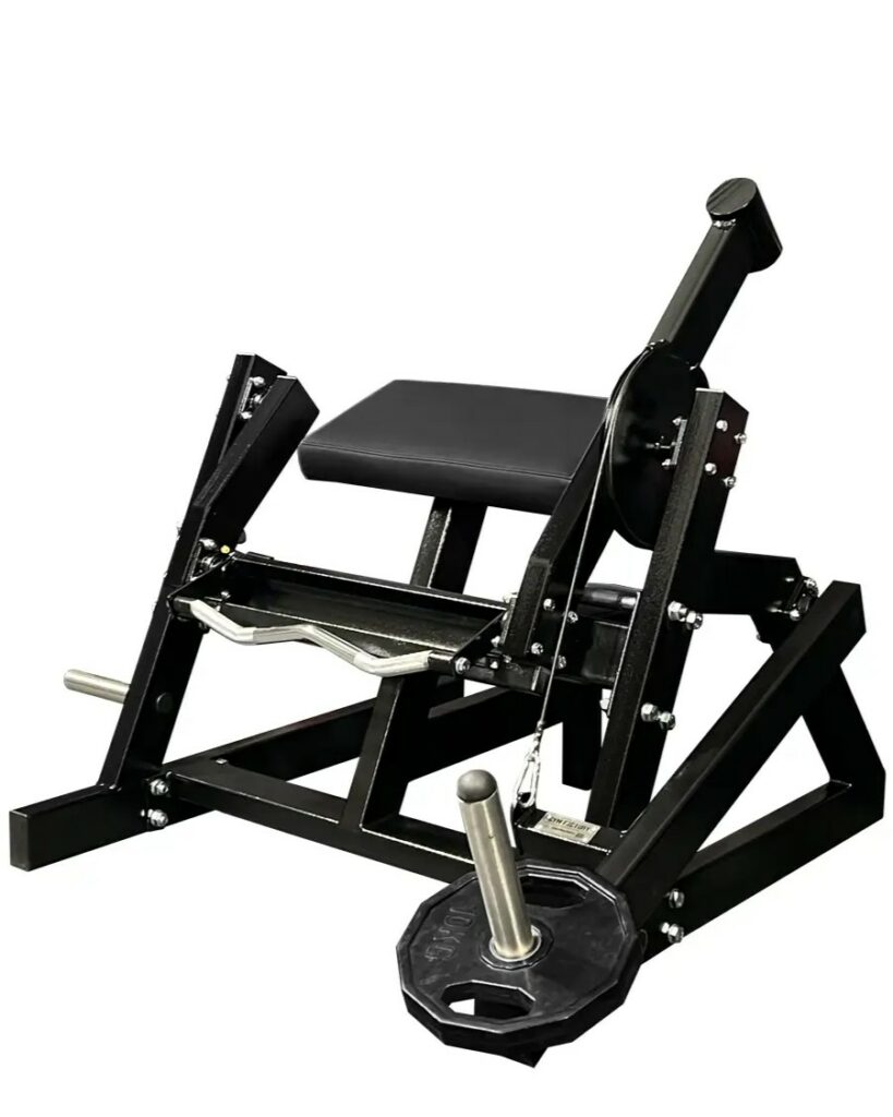 Biceps Machine - Professional Gym Equipment - gymequip.eu