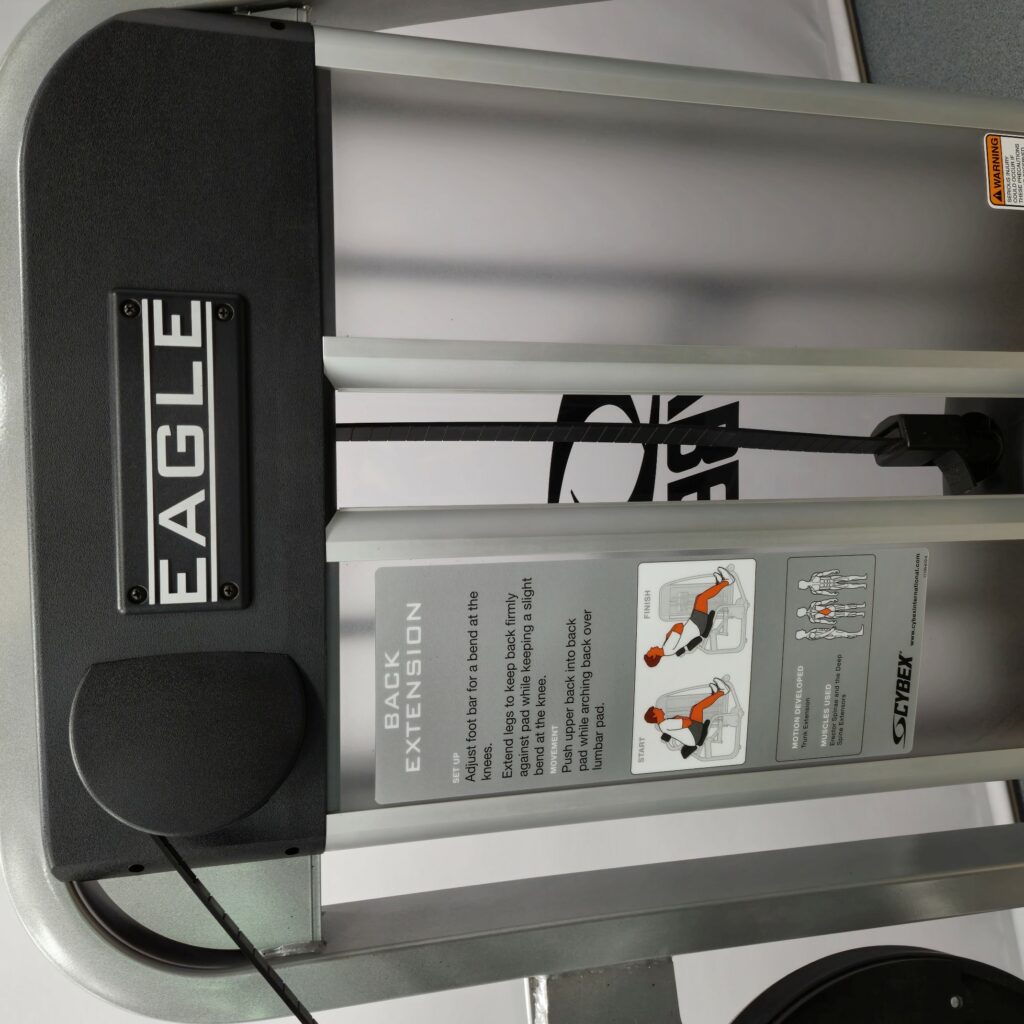 Cybex EAGLE Back Extension - Gymequip.eu - Professional Gym Equipment