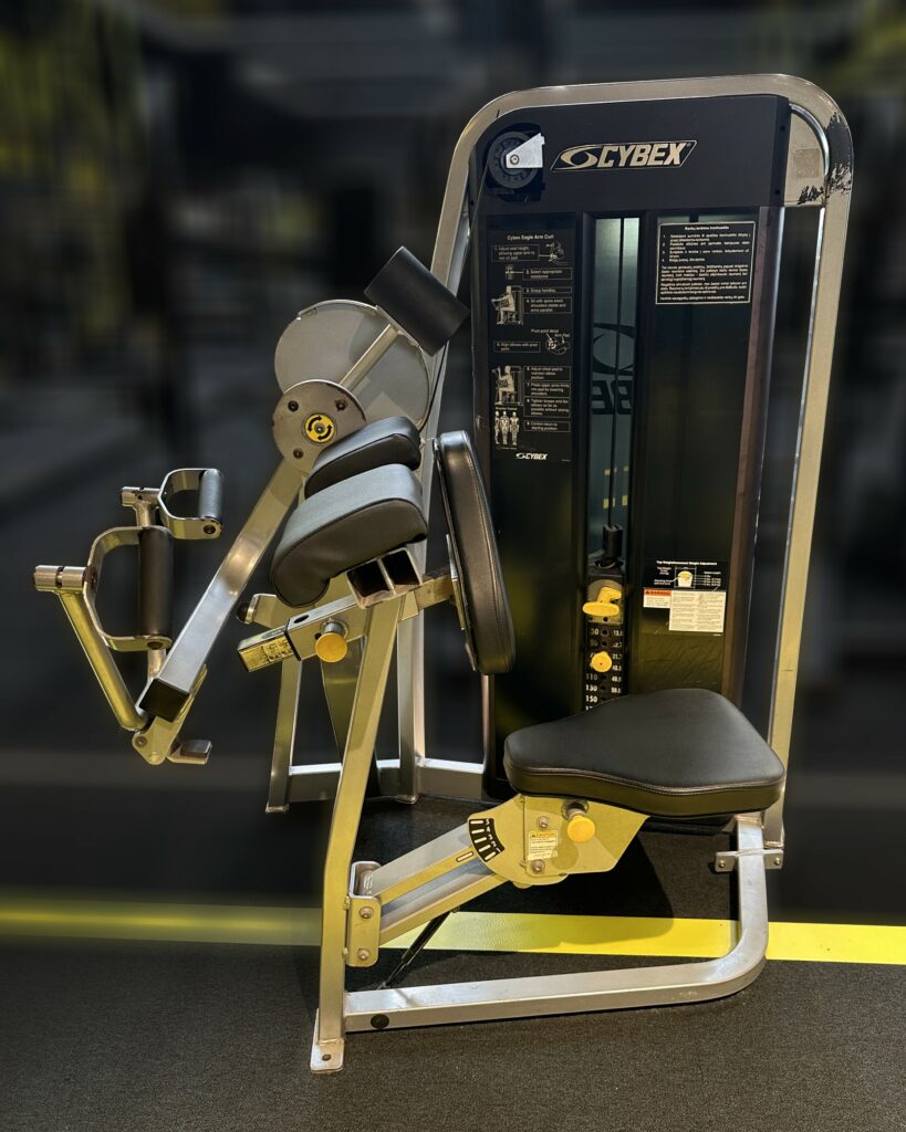 Cybex EAGLE Arm Curl - Gymequip.eu - Professional Gym Equipment